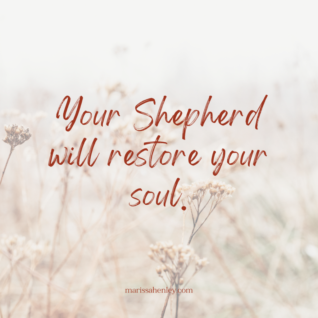 Your Shepherd Will Restore Your Soul - Marissa Henley